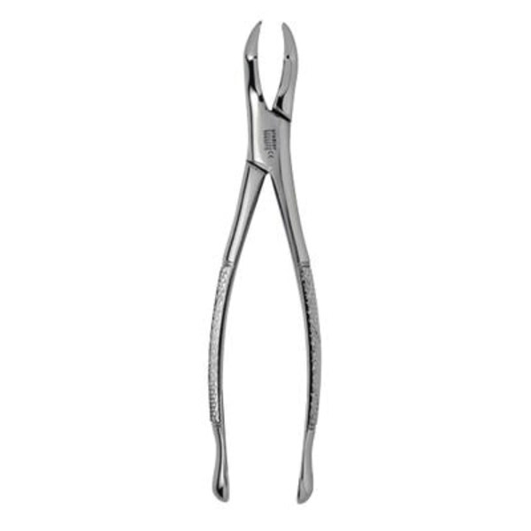 DC Dental | Forcep 53L