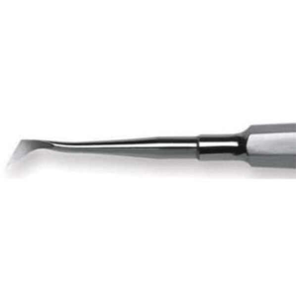 Elevator Cryer 31 | DC Dental