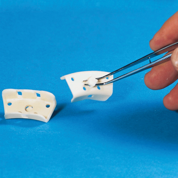 Minitray Crown And Bridge Tray 50bx Dc Dental