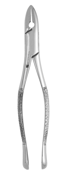 Extracting Forcep #1 Standard | DC Dental